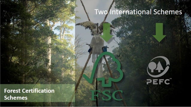 FSC chain of custody management system training | PPTX