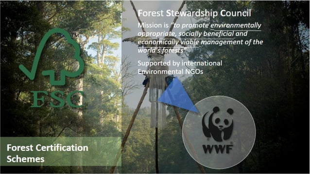 FSC chain of custody management system training | PPTX