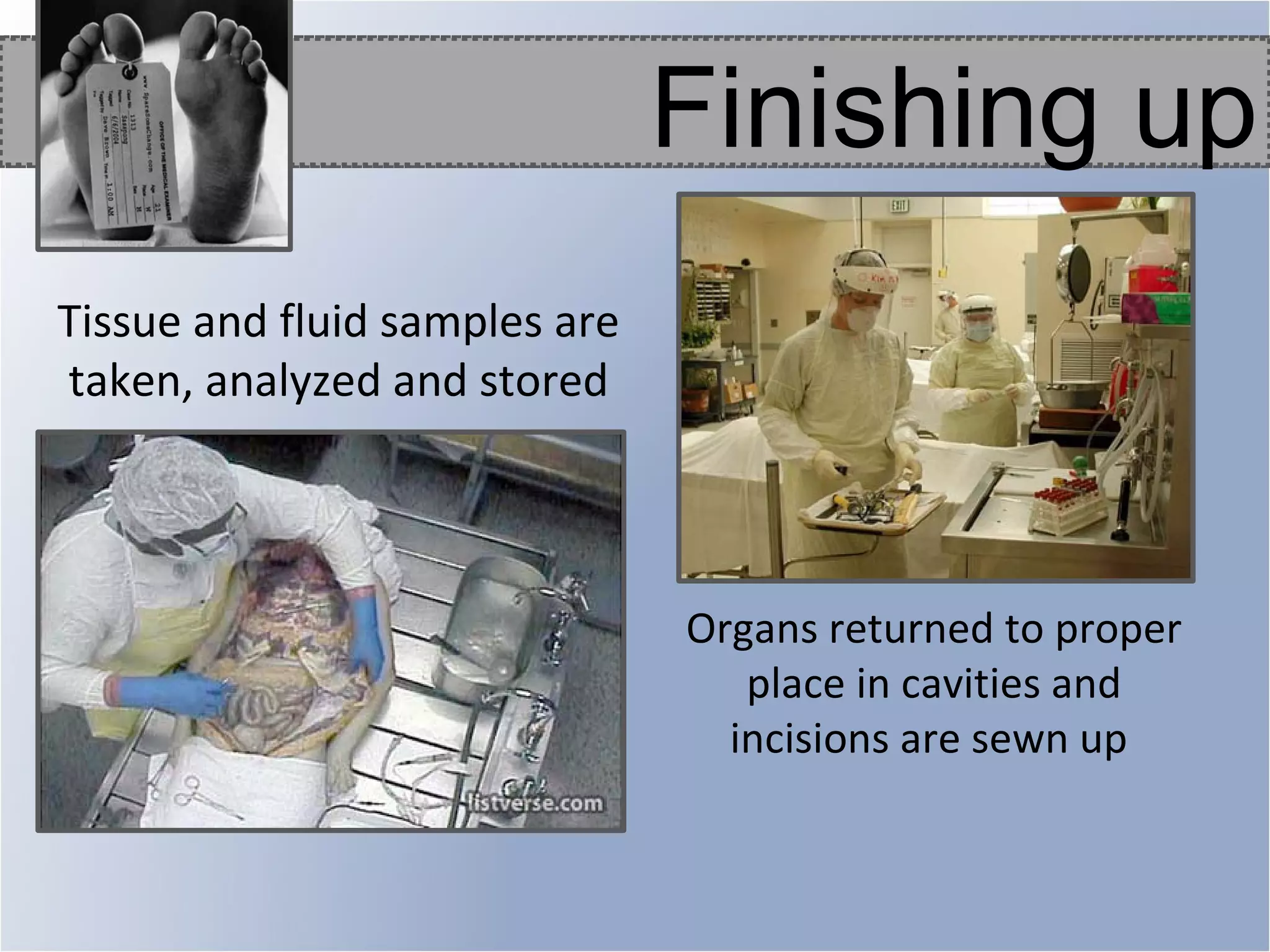 Chapter 13 - Process of Death | PPT