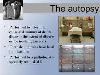 Chapter 13 - Process of Death | PPT