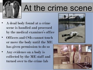 Chapter 13 - Process of Death | PPT