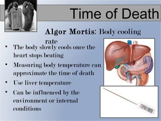 Chapter 13 - Process of Death | PPT