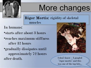 Chapter 13 - Process of Death | PPT