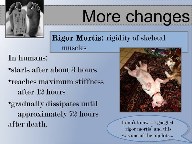 Chapter 13 - Process of Death | PPT