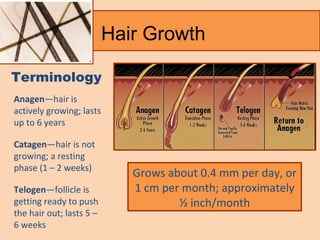 forensics ch 5 & 6 notes | PPT