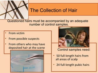 forensics ch 5 & 6 notes | PPT