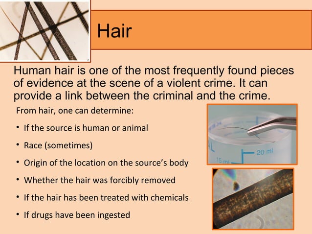 forensics ch 5 & 6 notes | PPT | Hair Care | Beauty