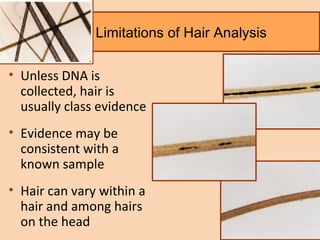 forensics ch 5 & 6 notes | PPT