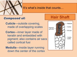 forensics ch 5 & 6 notes | PPT