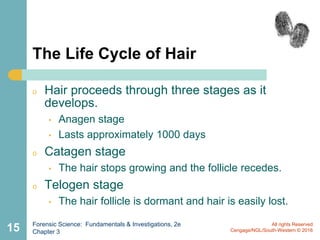 FSci Ch 03_PPoint.pptxyz................ | PPT