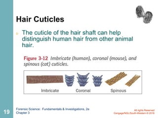 FSci Ch 03_PPoint.pptxyz................ | PPT