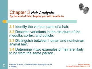 FSci Ch 03_PPoint.pptxyz................ | PPT