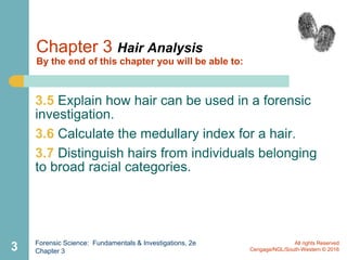 FSci Ch 03_PPoint.pptxyz................ | PPT