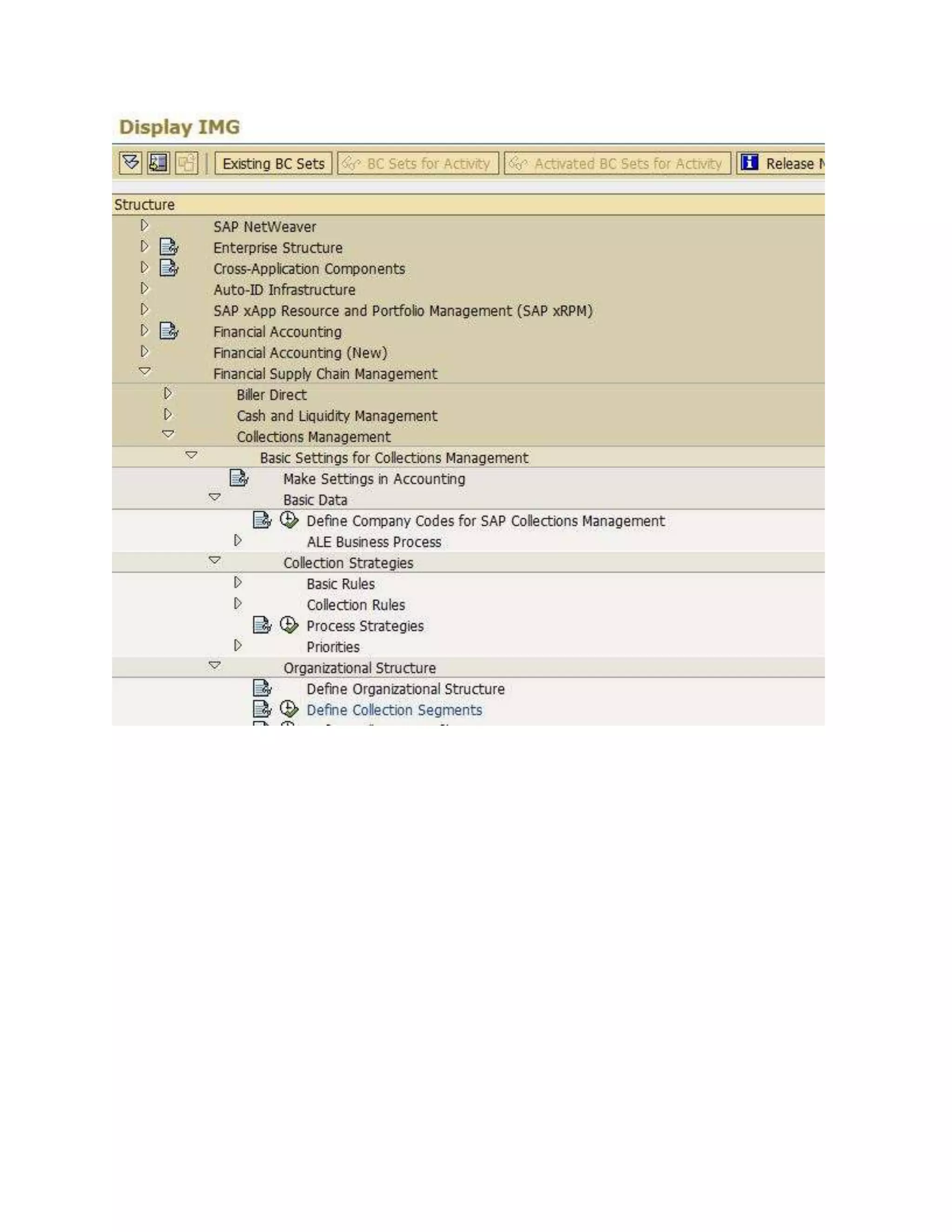 FSCM_Collection management.docx