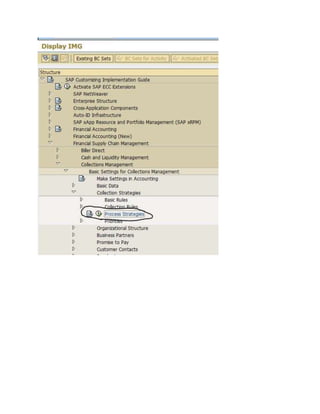 FSCM_Collection management.docx