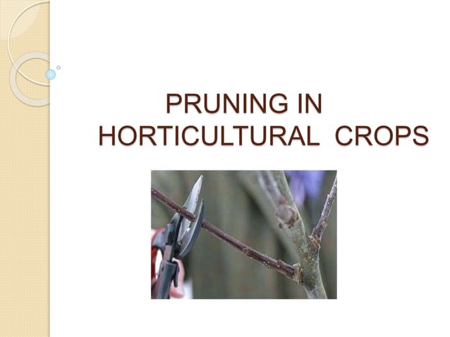 Pruning in horticultural crops | PPTX | Gardening | Home & Garden