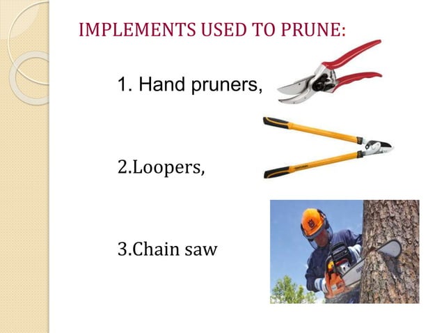 Pruning in horticultural crops | PPTX | Gardening | Home & Garden