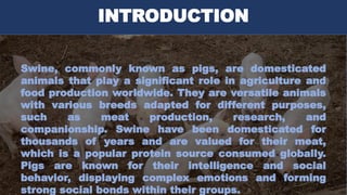 FS Cristina PPT in Isabela State University.pptx