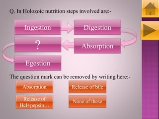 heterotrophic nutrition | PPSX | Food & Drink