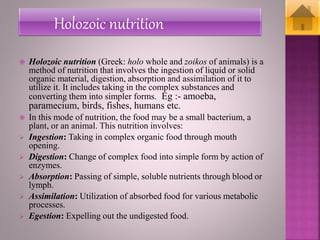 heterotrophic nutrition | PPSX | Food & Drink