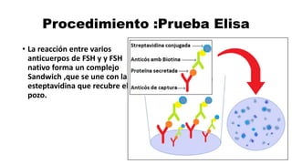 Medición de FSH | PPTX