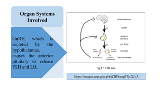 FSH Hormone..pdf