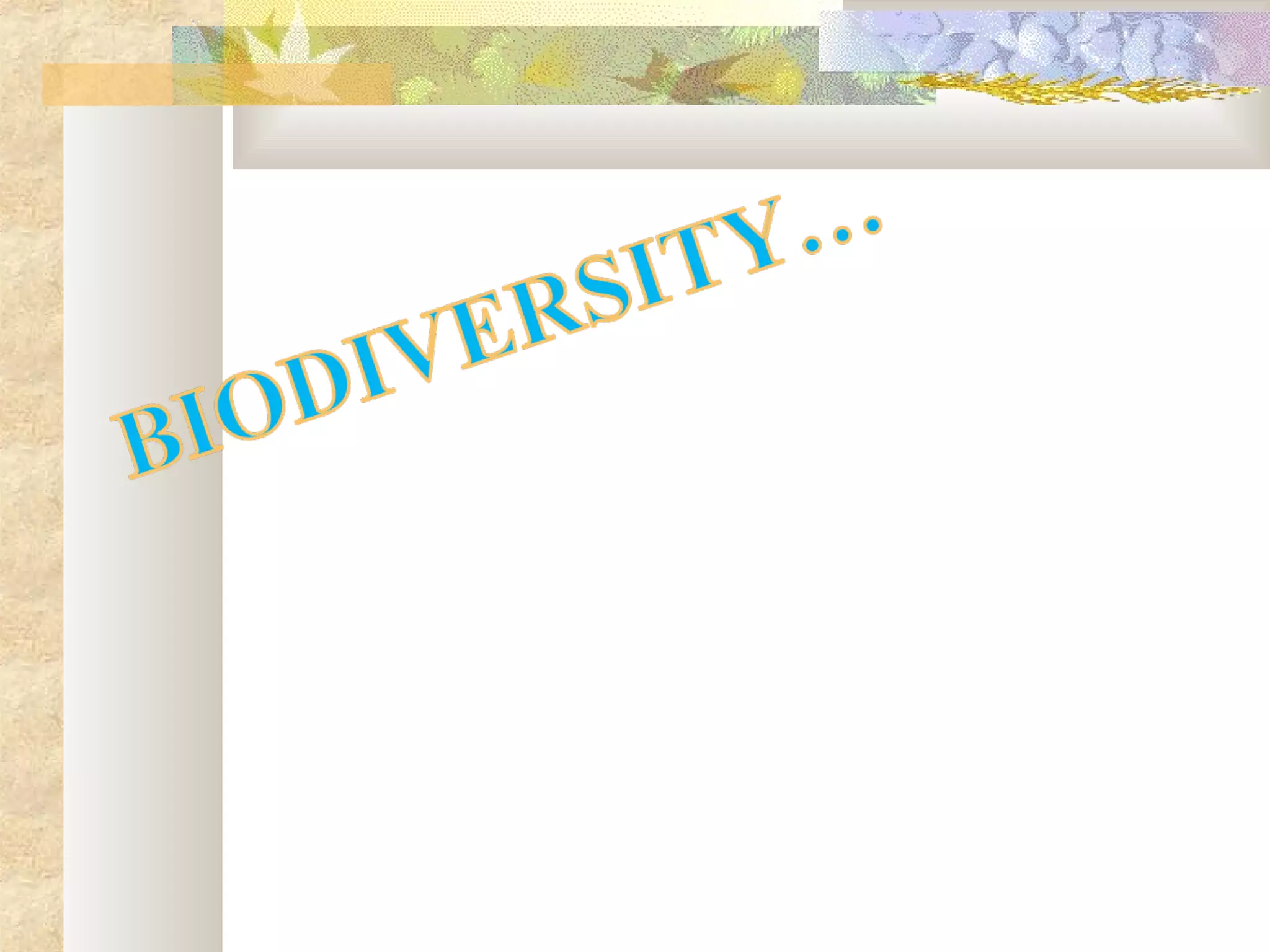 Mega Biodiverse Countries | PPT
