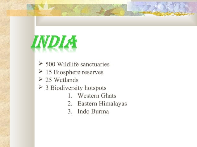 Mega Biodiverse Countries | PPT | South America Travel | Travel Locations