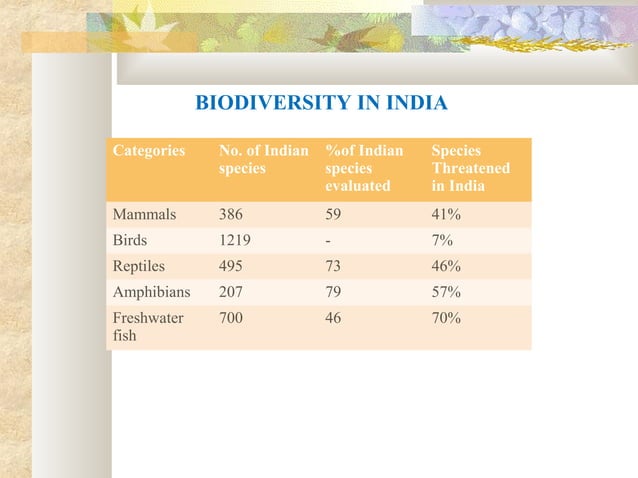 Mega Biodiverse Countries | PPT | South America Travel | Travel Locations