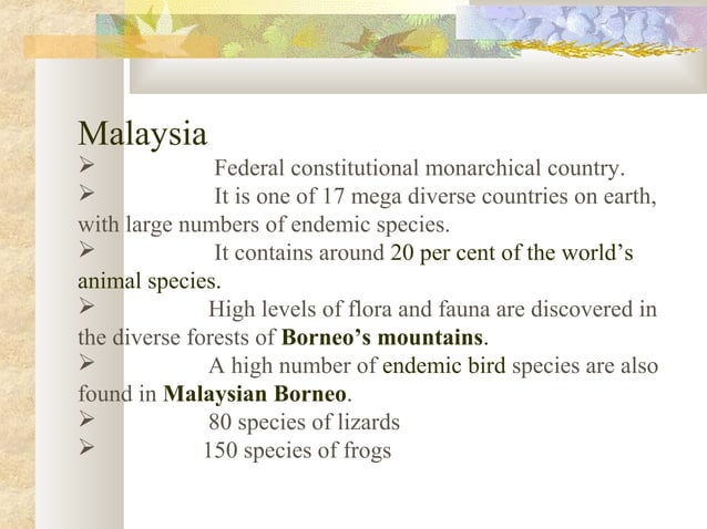 Mega Biodiverse Countries | PPT | South America Travel | Travel Locations