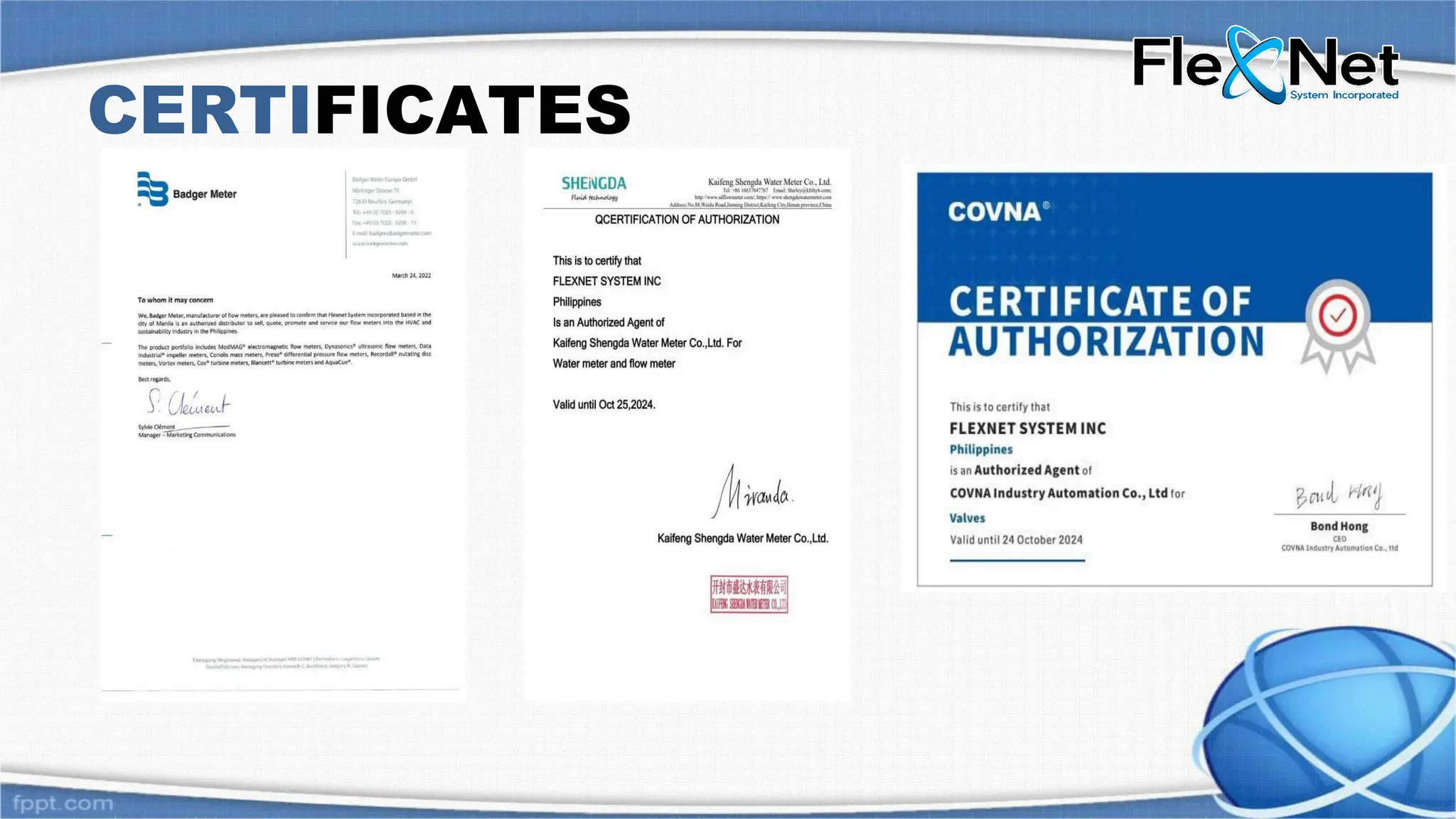 Flexnet Solutions Incorporated Company Profile 2024 | PPT