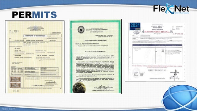 Flexnet Solutions Incorporated Company Profile 2024 | PPT