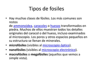Fósiles | PPTX