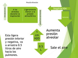 fsiologia de la ventilacion pulmonar.pptx