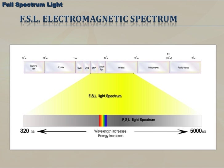 Full Spectrum Light