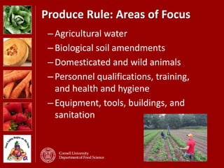 Evolution of Produce Safety & The FDA Proposed Produce Safety Rule | PPT