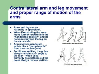 Fs Mequon Emnw Presentation | PPT
