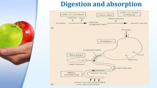 FSN 111-LEC 5 - PROTEIN-CLASSIFICATON, DIGESTION, SOURCES, REQUIREMENTS ...
