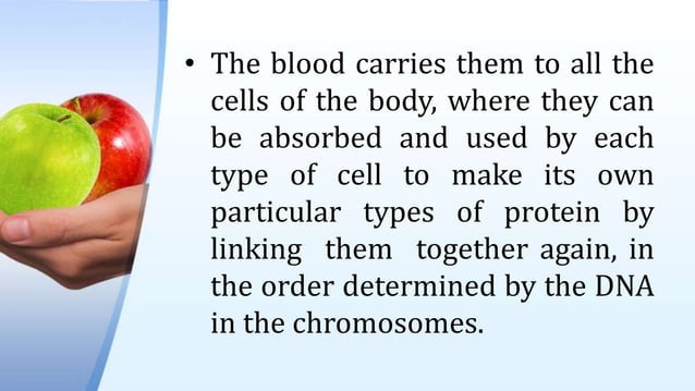 FSN 111-LEC 5 - PROTEIN-CLASSIFICATON, DIGESTION, SOURCES, REQUIREMENTS ...