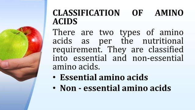 FSN 111-LEC 5 - PROTEIN-CLASSIFICATON, DIGESTION, SOURCES, REQUIREMENTS ...