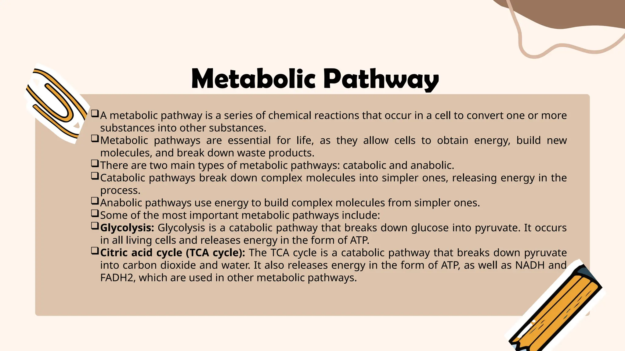 Comprehensive Overview of Nutrient Metabolism and Its Physiological ...