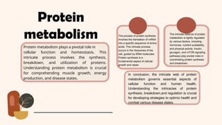 Comprehensive Overview of Nutrient Metabolism and Its Physiological ...