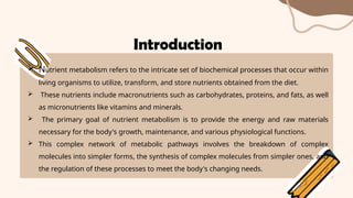 Comprehensive Overview of Nutrient Metabolism and Its Physiological ...