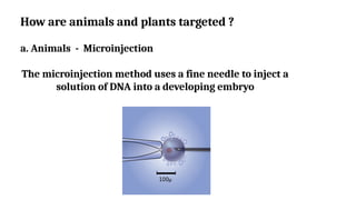 FSO MICRO GM FOODS AND LABELLING for good safety | PPTX