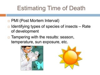 Forensic Entomology | PPT