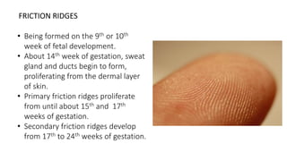 significance of fingerprinting , skin pattern and its collection with ...