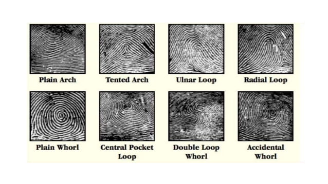 significance of fingerprinting , skin pattern and its collection with ...