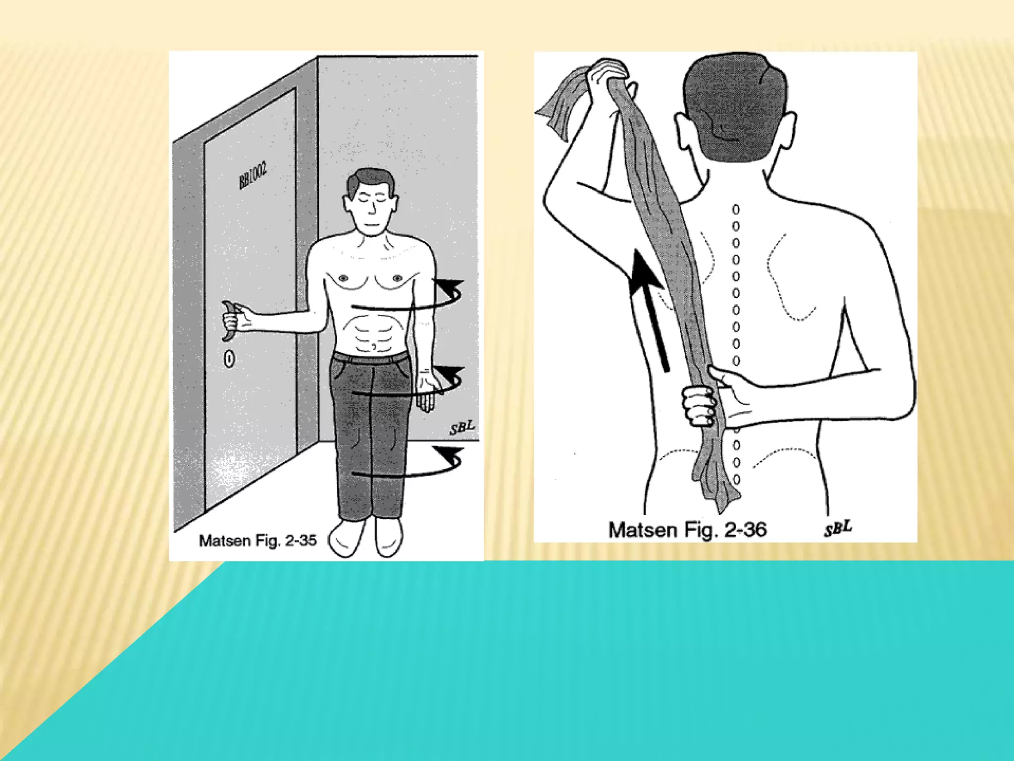 Frozen Shoulder Physiotherapy ppt | PPTX