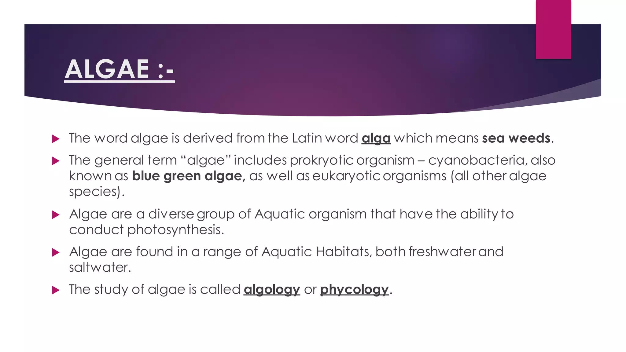 ALGAE AND YEAST | PDF