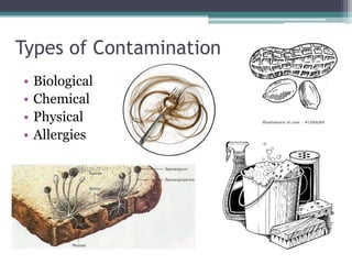 FS Presentation in details for beginners .pdf